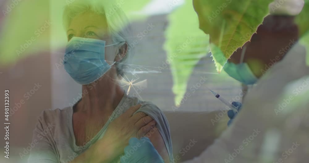 Mosquito stuck in a spider web against male doctor giving an injection ...