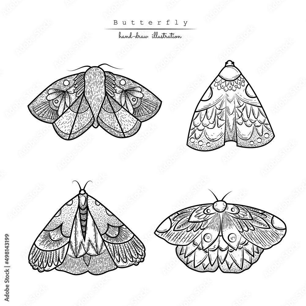 Moth with skull set. Scary butterfly in vintage style, monochrome death ...