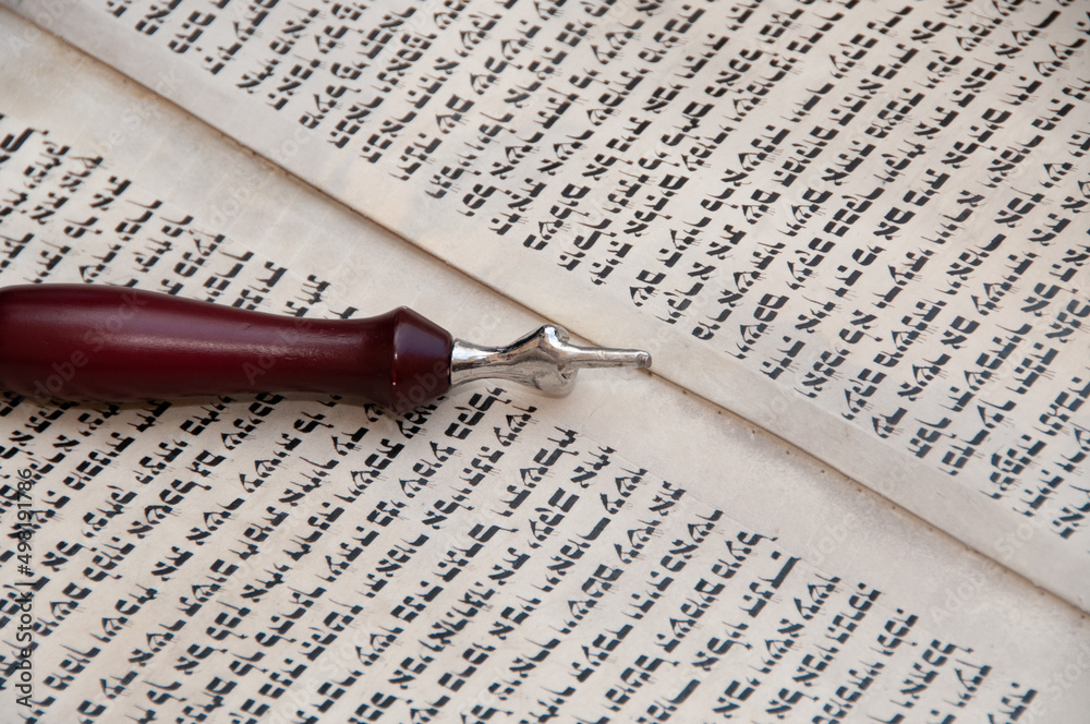 Reading the Torah, the five holy books of Moses and Judaism with the ...
