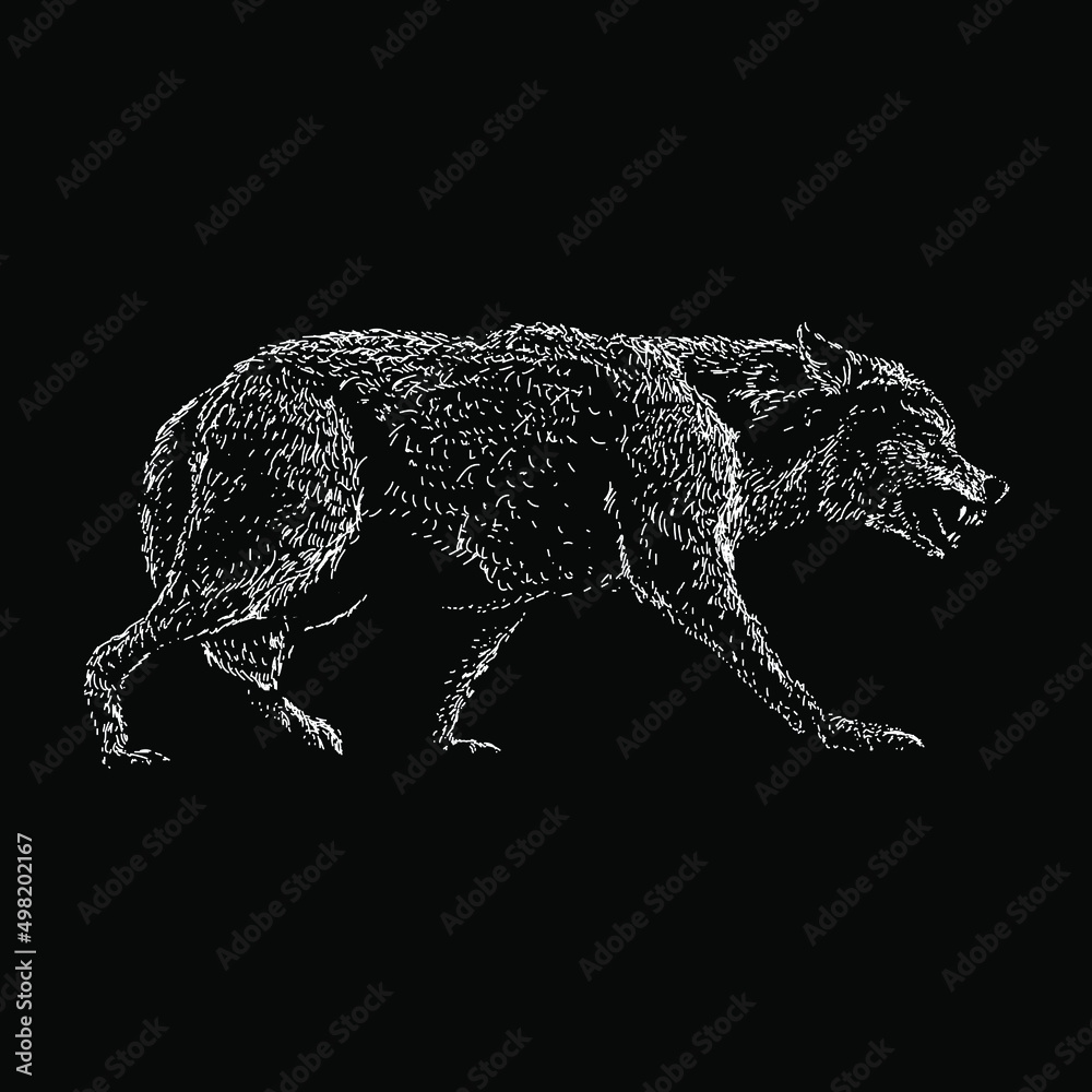 Mackenzie Wolf Illustration Isolated On Black Background Stock Vector 9750