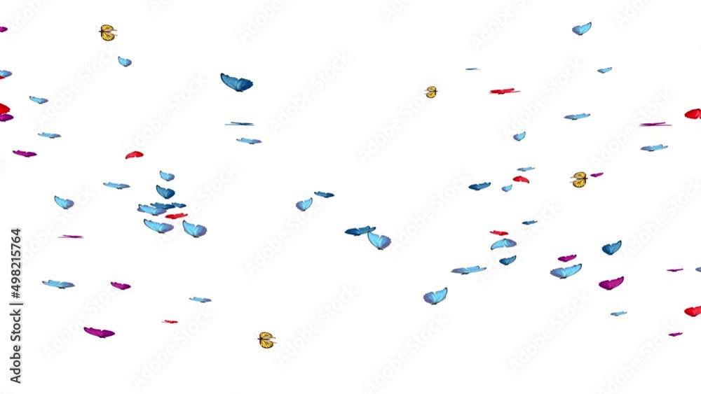 beautiful spring and summer design animation with butterflies on Grenn ...