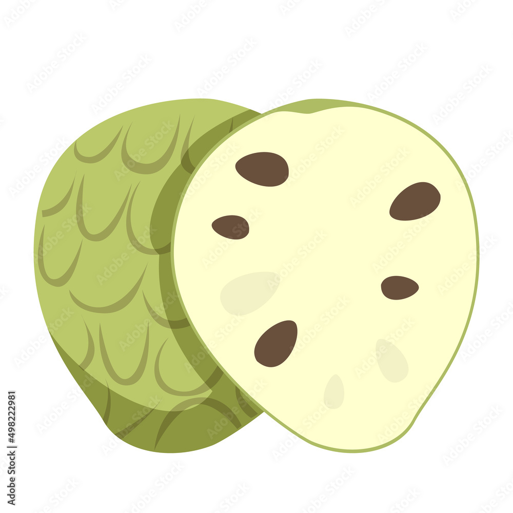 Cherimoya vector isolated. Illustration of a tropical fruit, green ...