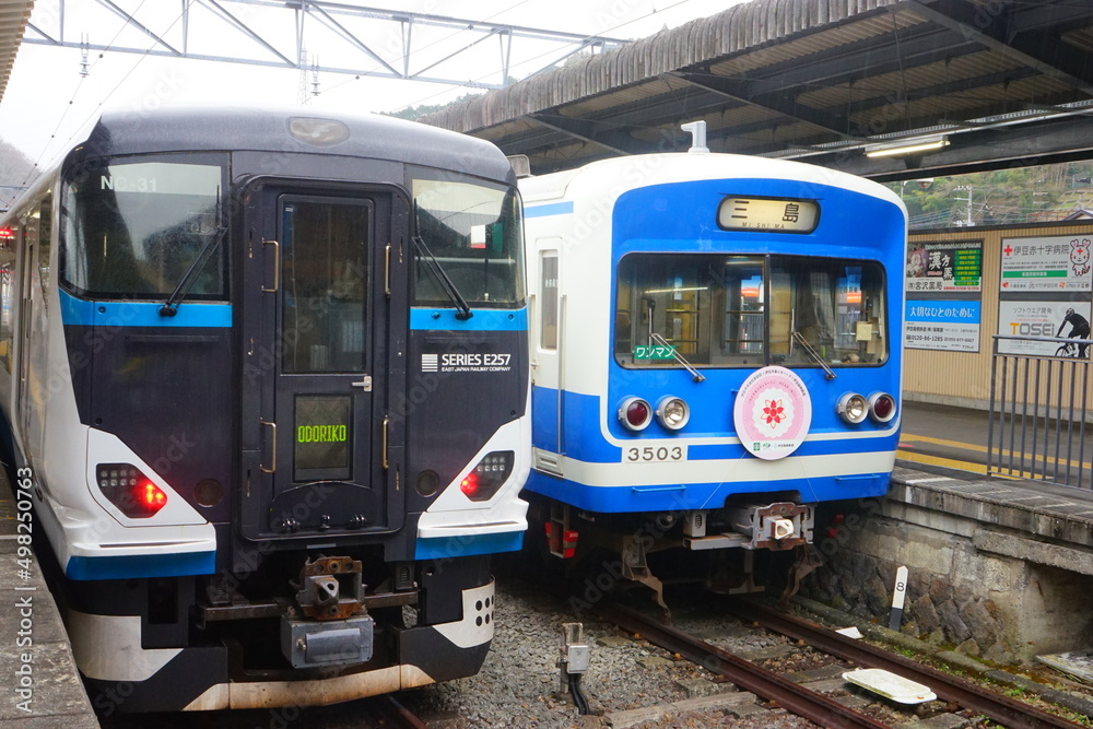 JR East, Limited Express Odoriko, Izuhakone Line - JR 東日本 E257系 踊り子 伊豆 ...