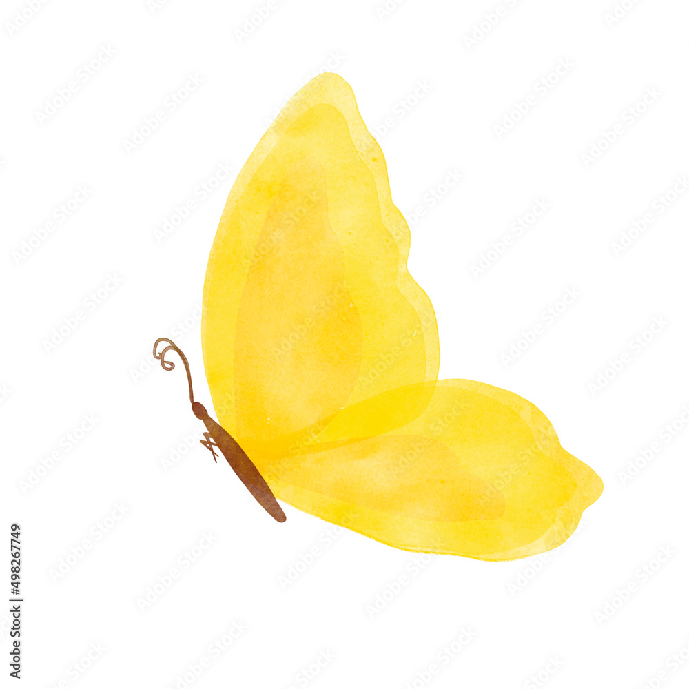 Watercolor yellow butterfly isolated on white background. Spring ...