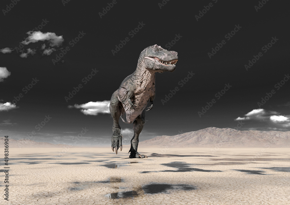 tyrannosaurus rex is coming on desert Stock Illustration | Adobe Stock