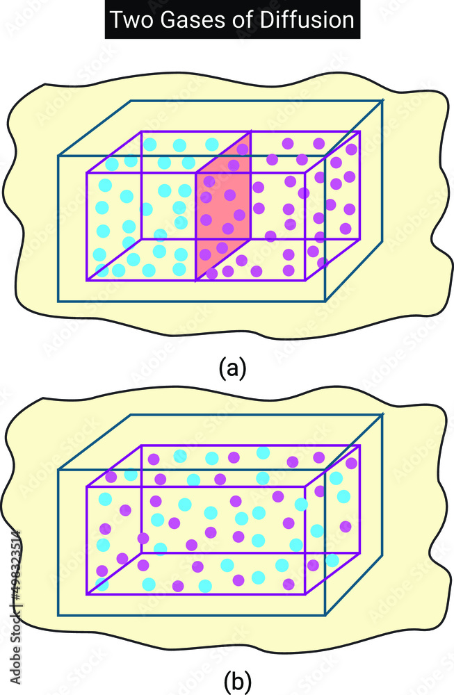 Diffusion of two gases Stock Vector | Adobe Stock
