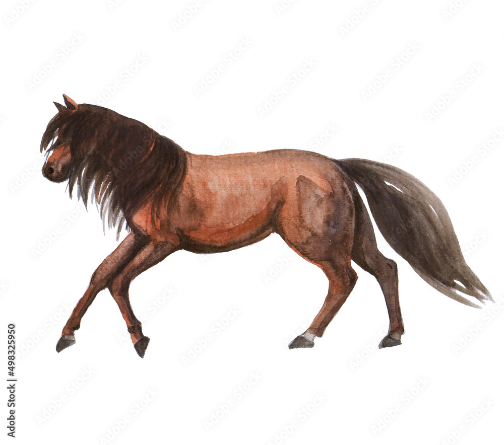 Watercolor horse art. Ink modern galloping. Energy active. Wildlife ...