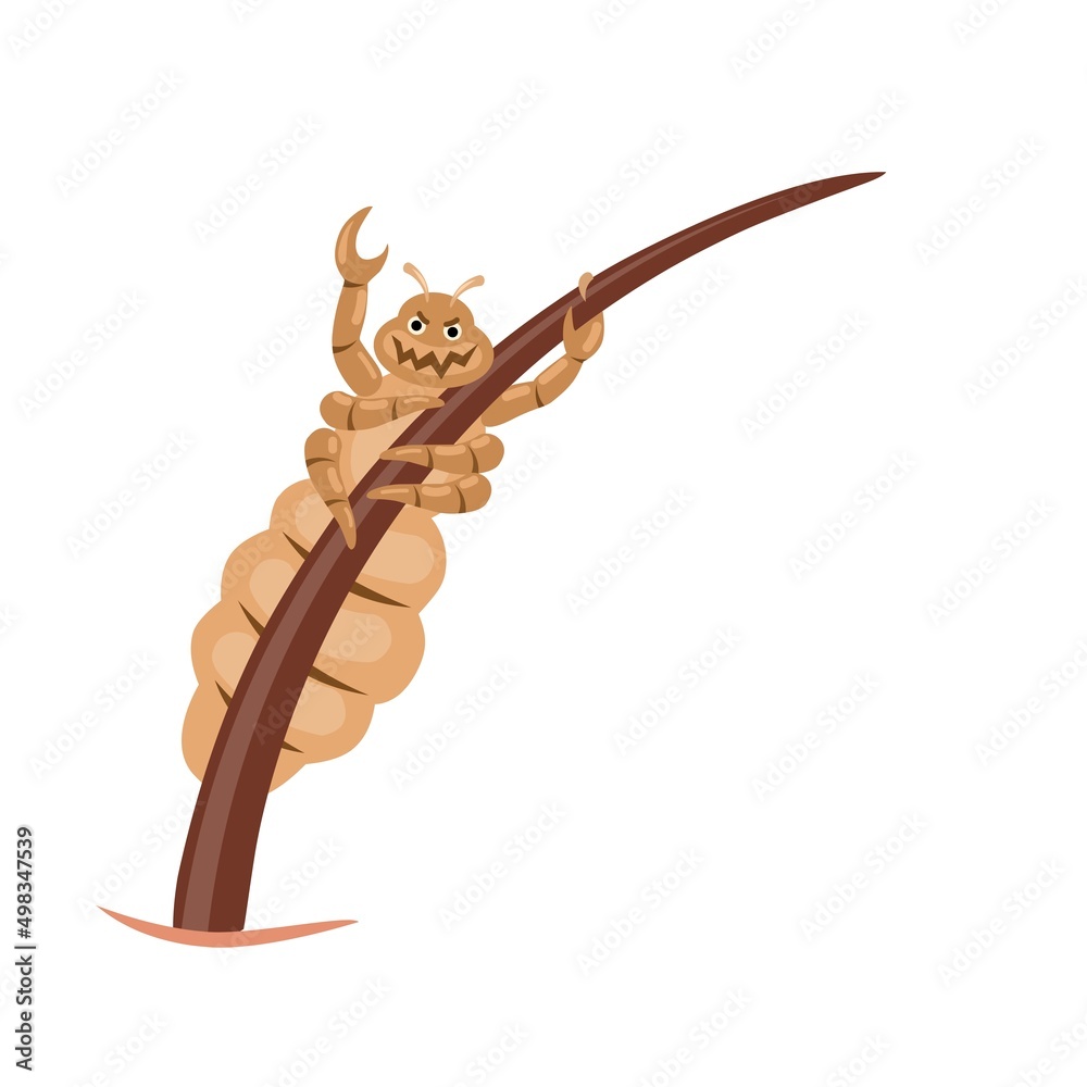 Vector illustration, cartoon character of head lice or Pediculus ...