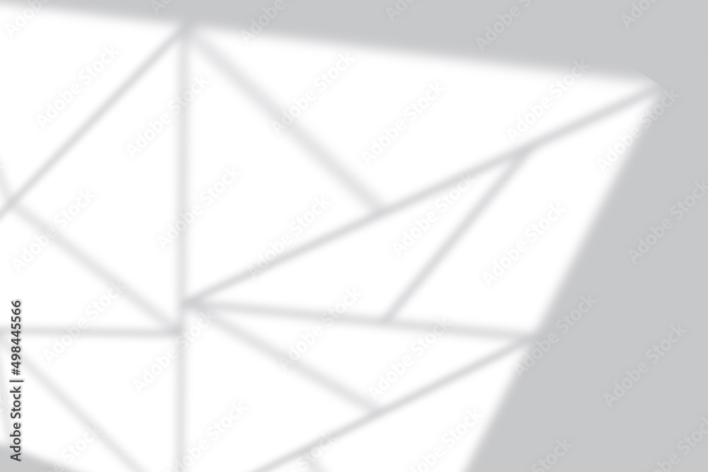 Window Sunlight Shadow Overlay Effect Stock Illustration | Adobe Stock