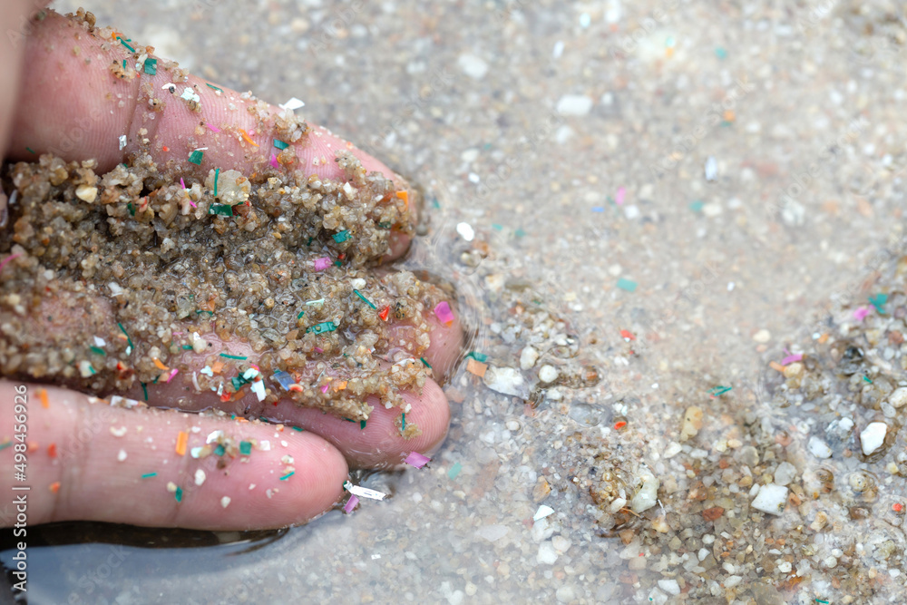Close-up side shot of hands shows microplastic waste contaminated with ...