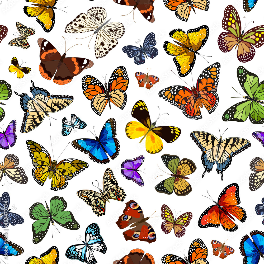 Butterflies on a transparent background.Colored vector pattern with ...