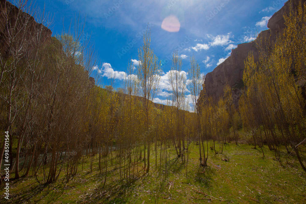 Ihlara Valley in Cappadocia. Ihlara Valley (Peristrema Monastery) or ...