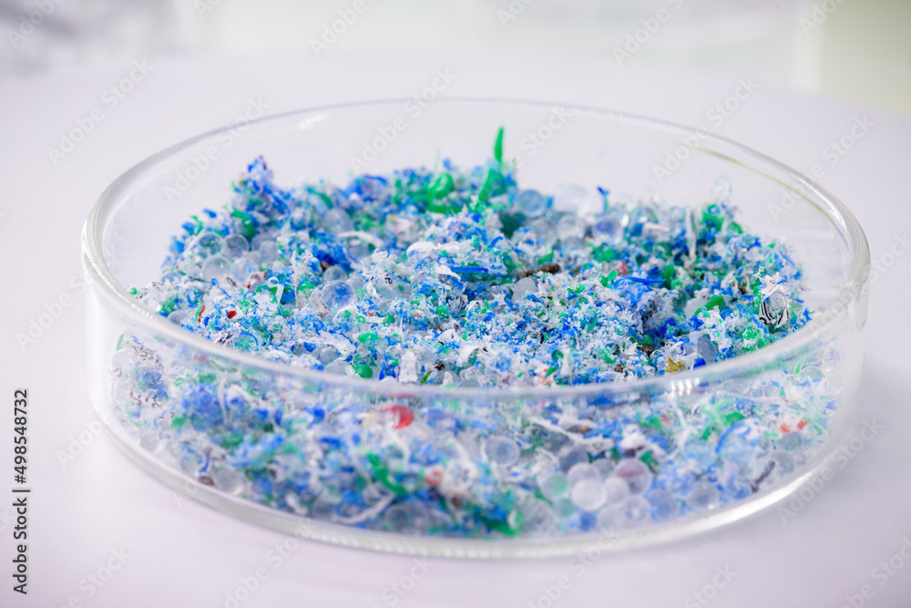 traces of plastic and microplastic in petri dishes, the main pollutant ...