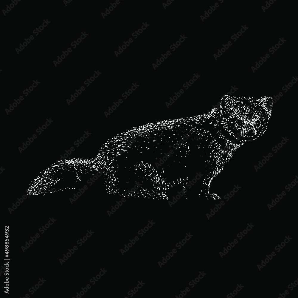 sable hand drawing vector illustration isolated on black background ...