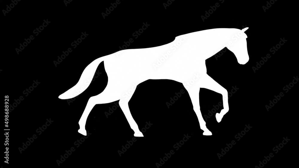 Golden horse running, seamless loop, orange studio, Luma Matte attached Stock Video | Adobe Stock