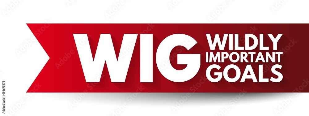 WIG Wildly Important Goals - highly important goals that must be ...