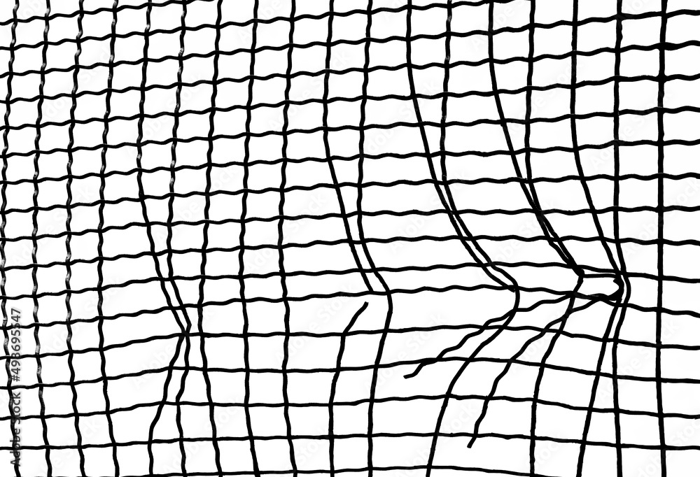 damage wire mesh isolated on white sky background. Mesh netting with ...
