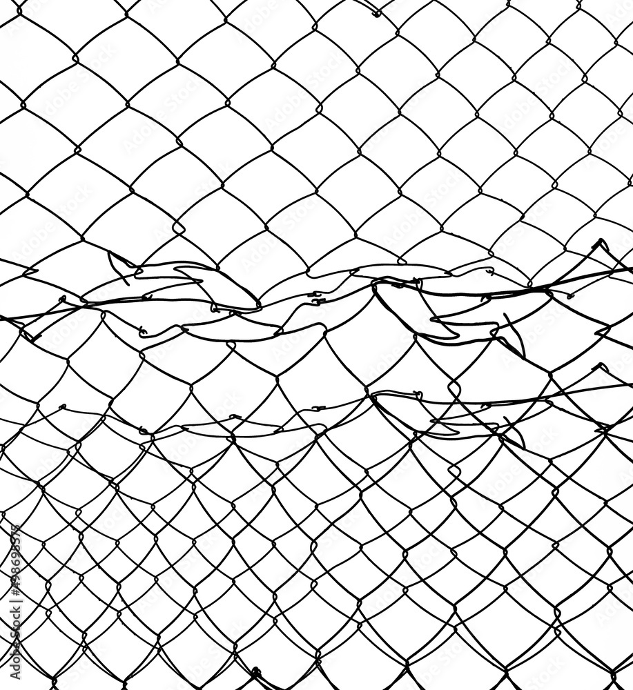 Opening in metallic fence isolated on white background . Challenge ...
