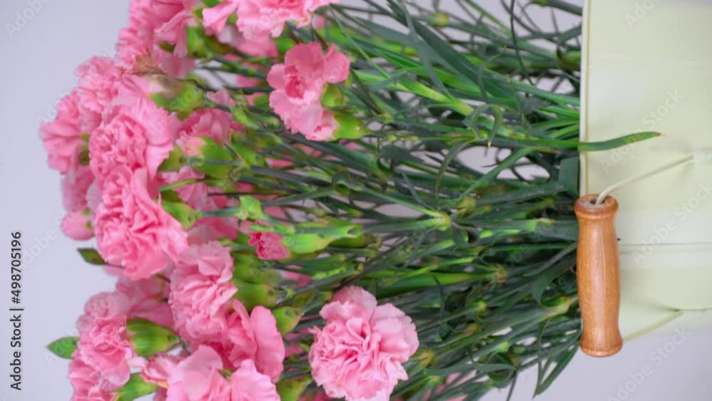 Close-up of a large number of pink carnations in a tin vase with ...
