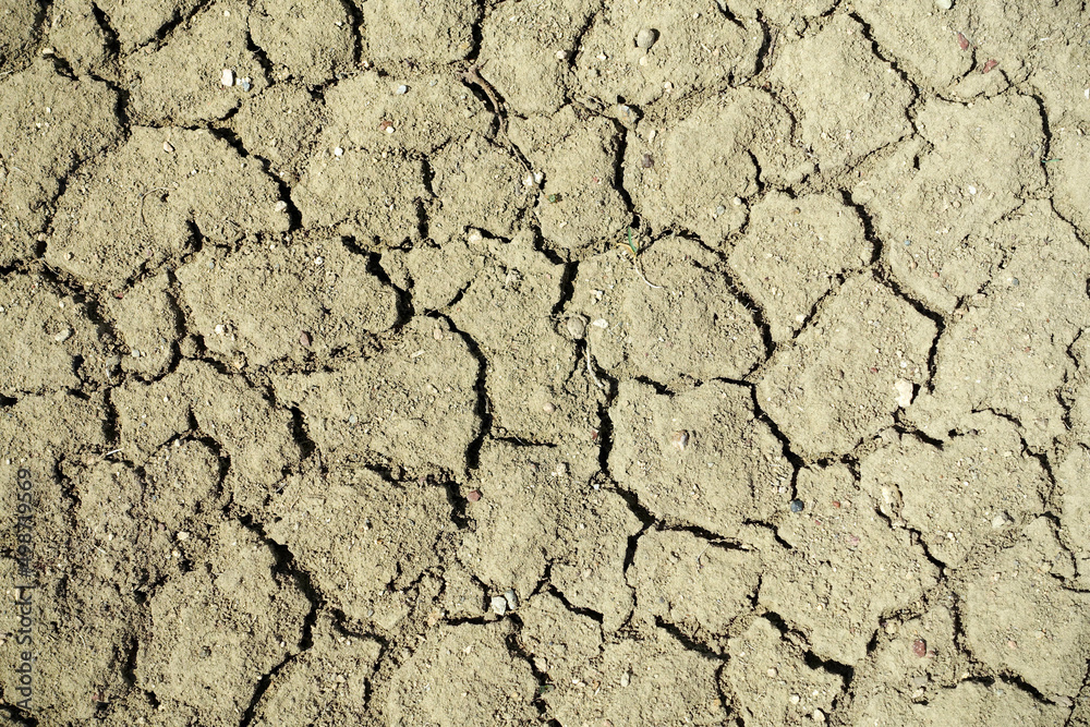 Cracking and splitting of soils due to thirst-soil erosion and drought ...