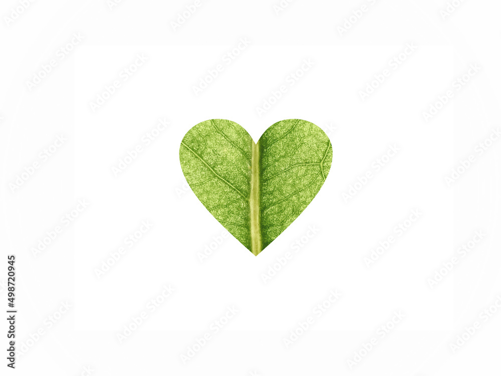 The green heart is a symbol of love for the earth and the environment ...