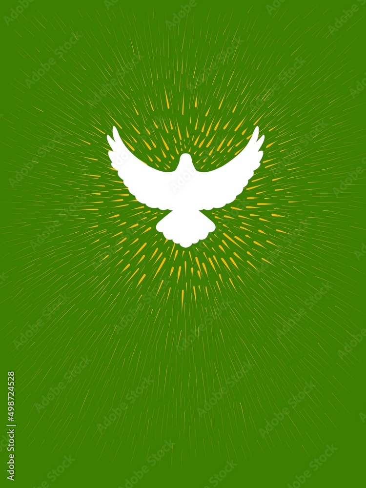 Disegno colomba bianca sfondo verde luce raggiante dorata Stock ...