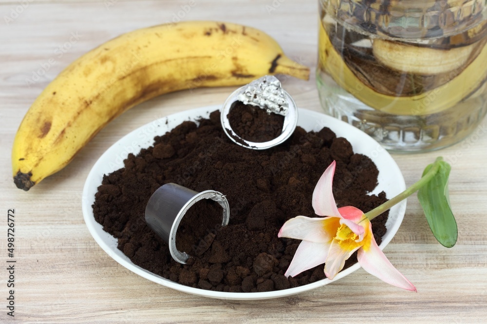 Coffee grounds from espresso coffee capsules and banana peels for ...