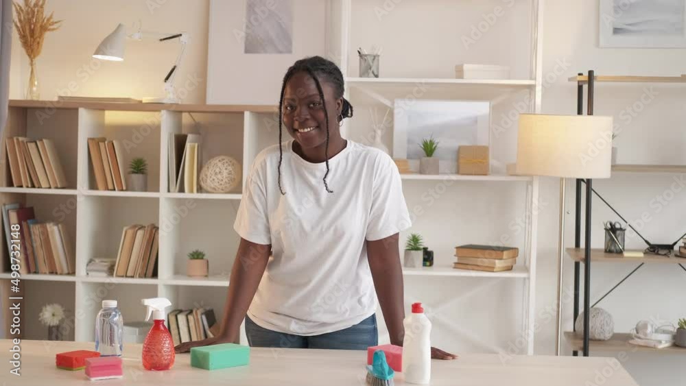 Maid lifestyle. House cleaning. Household chores. Happy cheerful ...