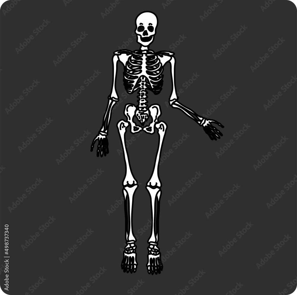 hand drawing skeleton doodle with black background skull bone body ...