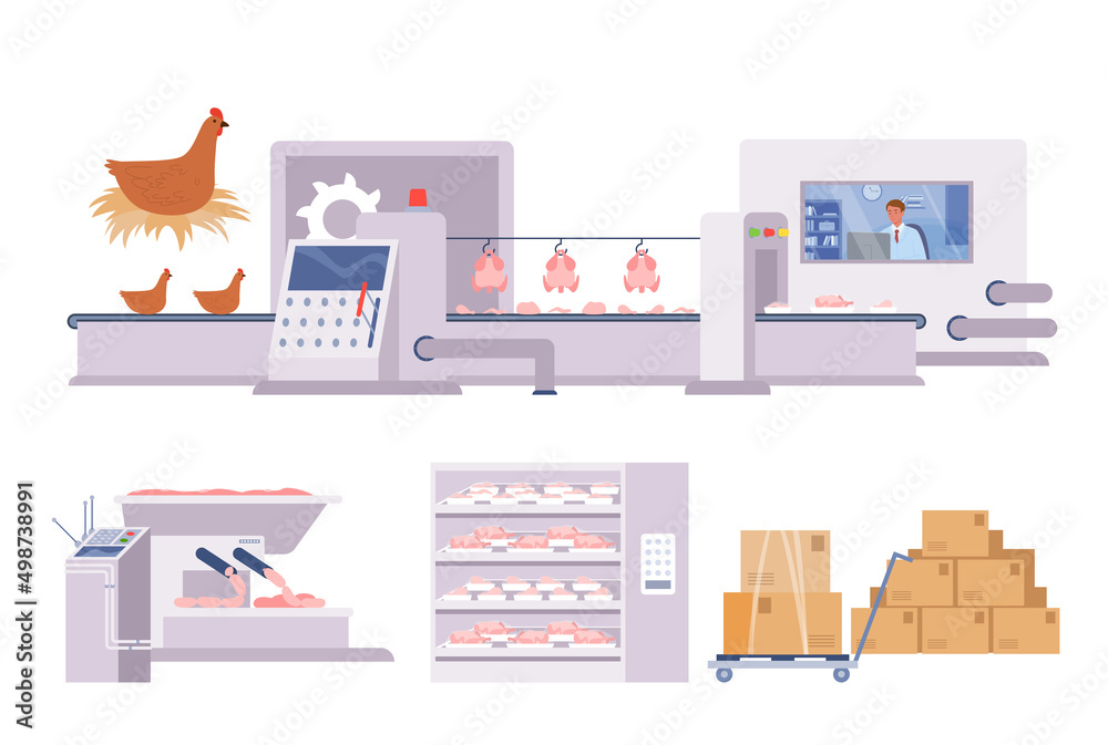 Chicken production, factory line with machinery. Infographic chain with ...