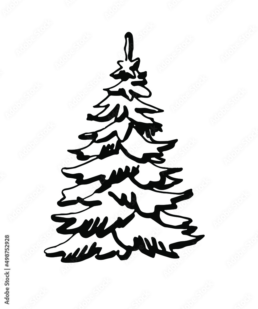 Spruce. Black and white illustration. Vector clipart. Hand-drawn Stock ...