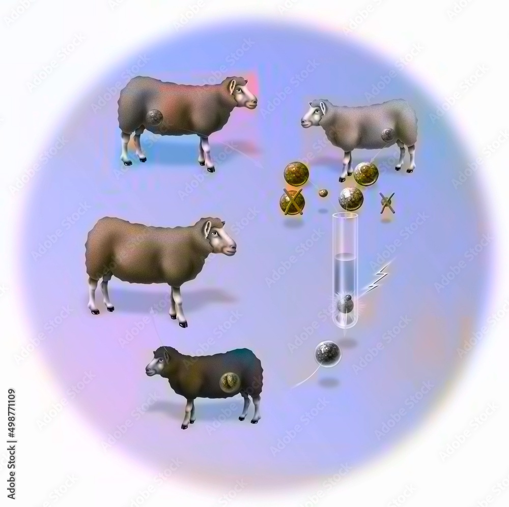 Reproductive Cloning Dolly