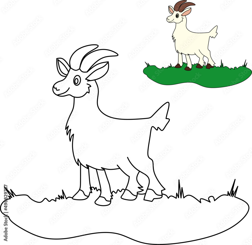 vector drawing of cartoon goat, for coloring book. Stock Vector | Adobe ...