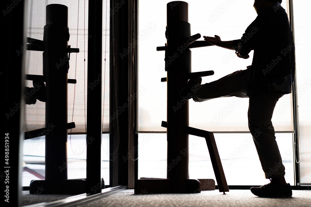 Wing Chun Wallpaper Hd