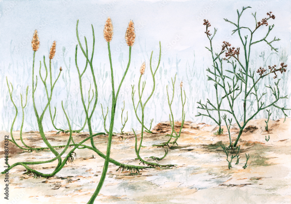 Poster Devonian plants (Aglaophyton and Psilophyton) – Wall Art | UkPosters