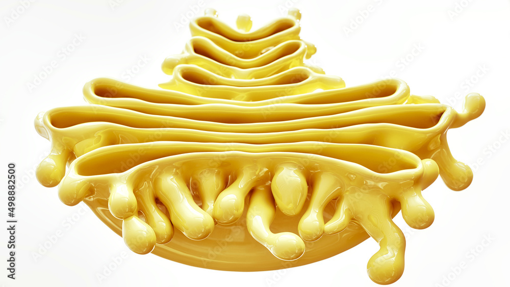 Cross section through a golgi apparatus - 3D Rendering Stock ...