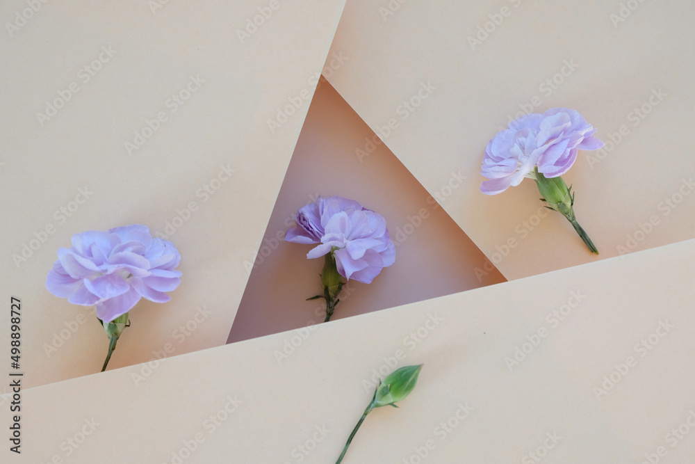 Multi-level beige background with flowers. Multiple levels of paper ...