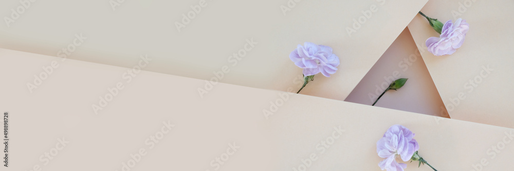 Multi-level beige background with flowers. Multiple levels of paper ...