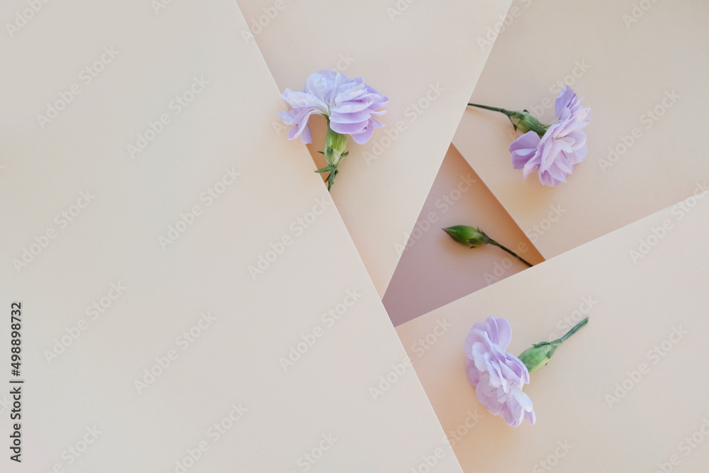 Multi-level beige background with flowers. Multiple levels of paper ...