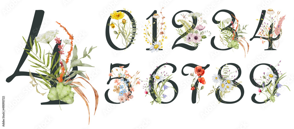 Watercolor floral numbers set with wild flowers from 0 to 9 Stock ...
