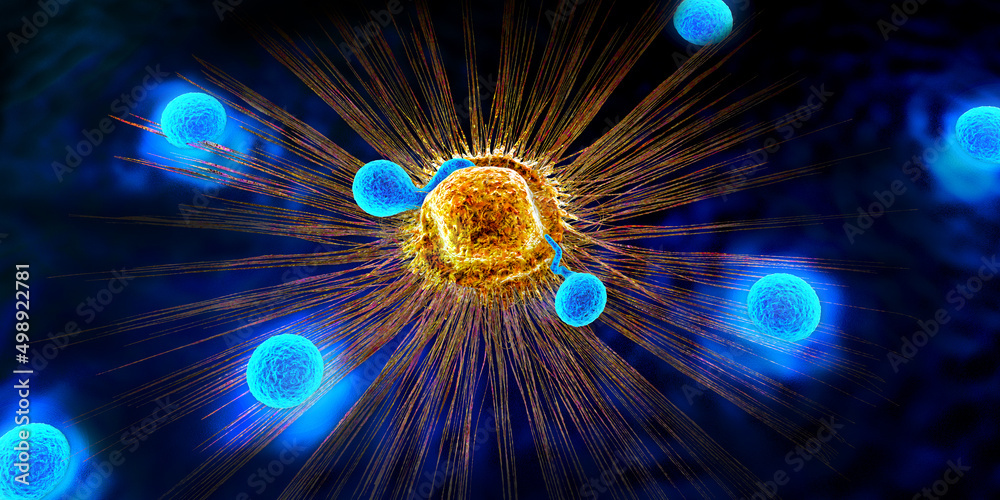 Lymphocytes cell in the immune system reacting and attacking a ...