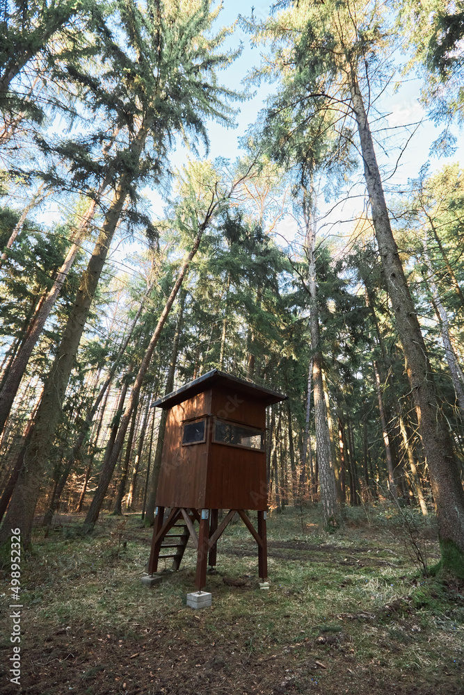 The hunting pulpit of the hunter in the middle of the forest. The ...