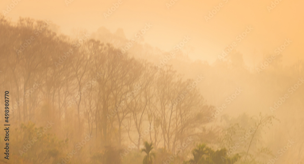 Prolonged dust storm in dry winter subtropics. Soil drought dust devil ...