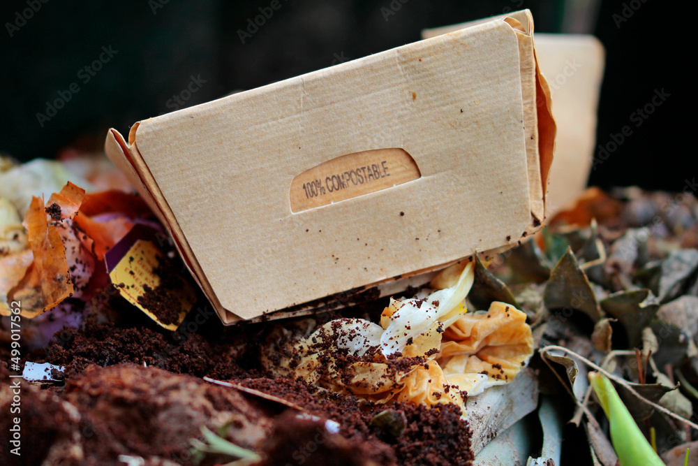 compostable and biodegradable Paper packaging Stock Photo | Adobe Stock