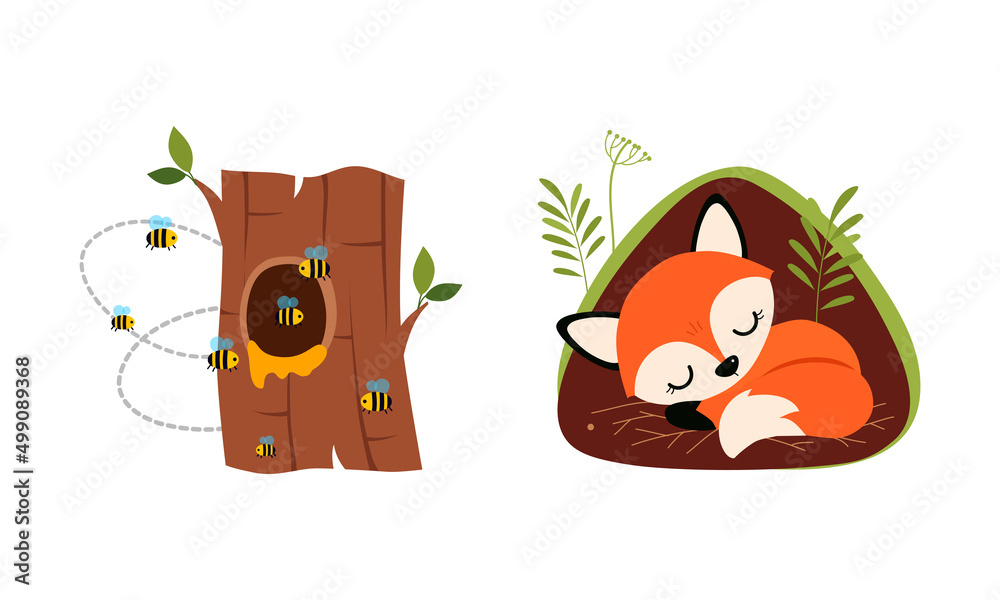 Bees flying around tree hollow and little fox sleeping in burrow ...