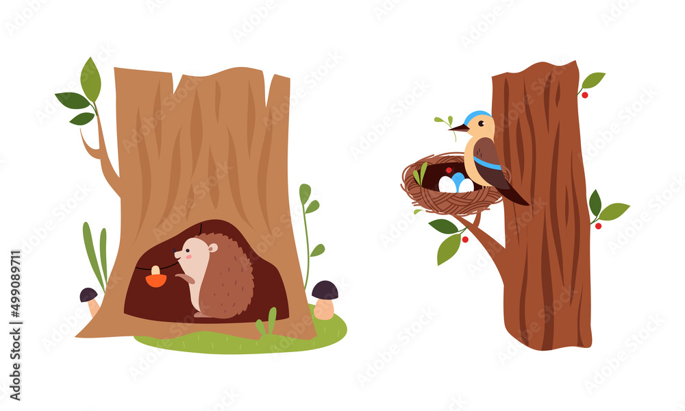 Bird incubating eggs in nest and hedgehog sitting in burrow set cartoon ...