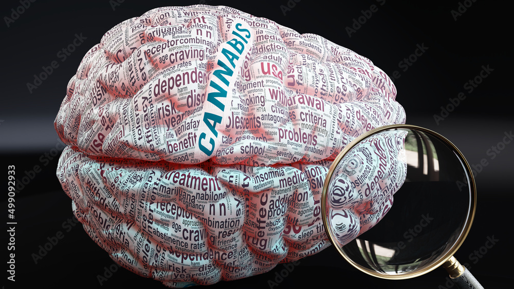 Cannabis in human brain, a concept showing hundreds of crucial words ...