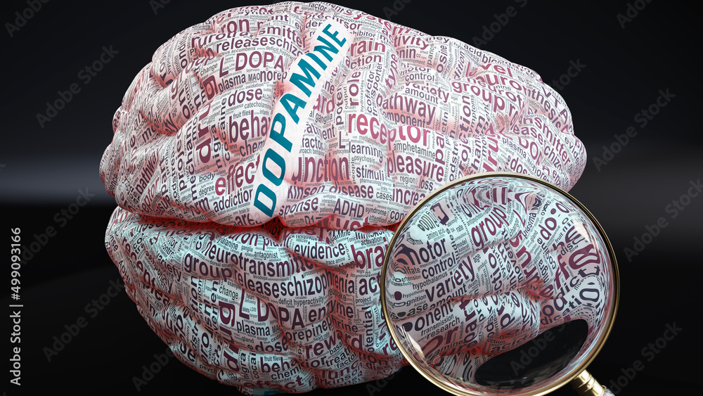 Dopamine in human brain, a concept showing hundreds of crucial words ...