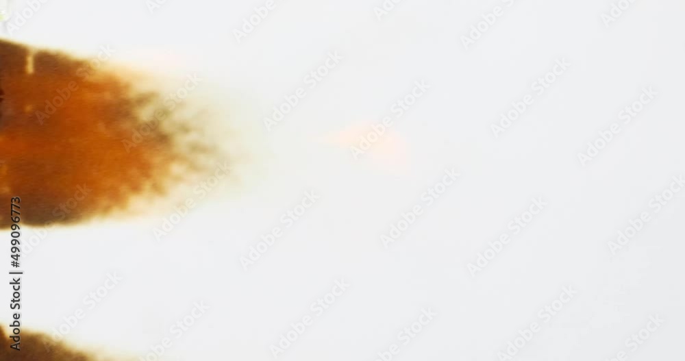 Burning paper. A white blank burning and flaming fire isolated on black ...