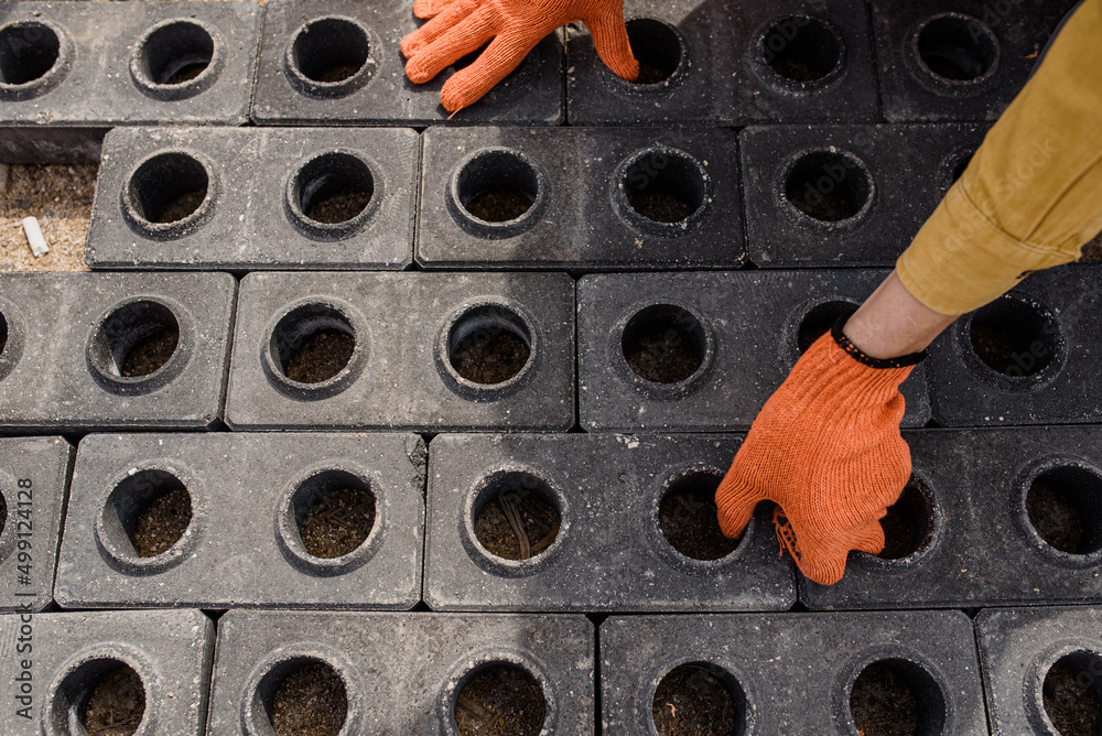 Foto de builder hands are arranging the paving slabs on the ground. do ...
